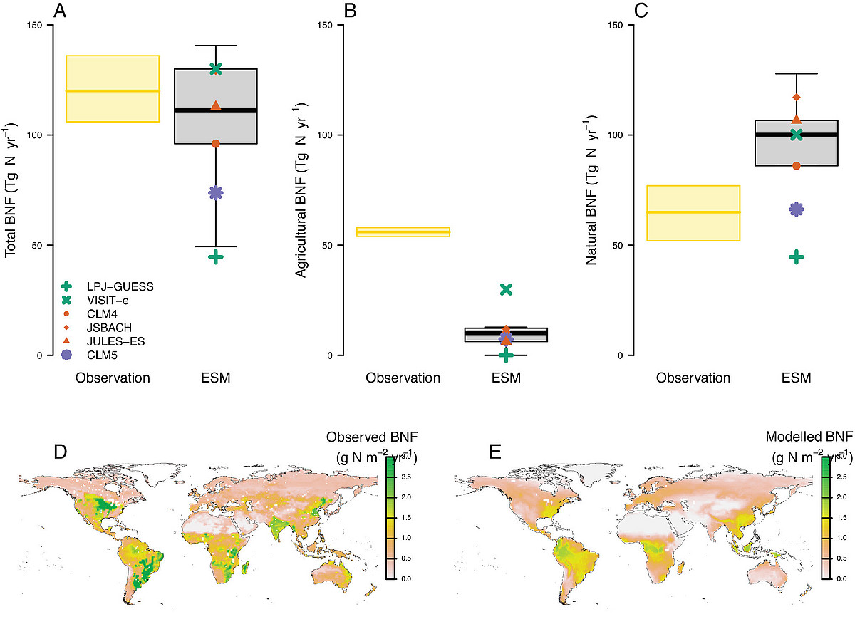 New PNAS paper published! - Diversity and ecology